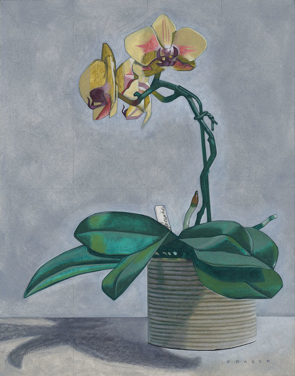 Douglas Fraser GALLERY - Exhibition Gate D43